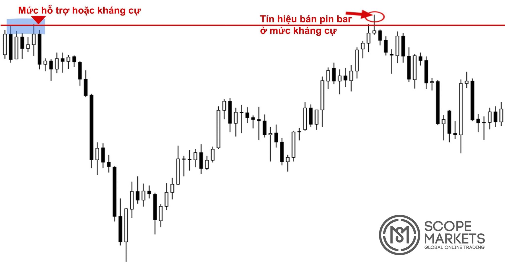 4 Cách Giao Dịch Mô Hình Nến Pin Bar Nhanh & Hiệu Quả | Scope Markets